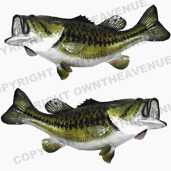 Bass Fishing Truck Decal - Etsy