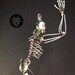 Reclaimed Bones: Recycled Metal Skeleton Sculpture - Etsy