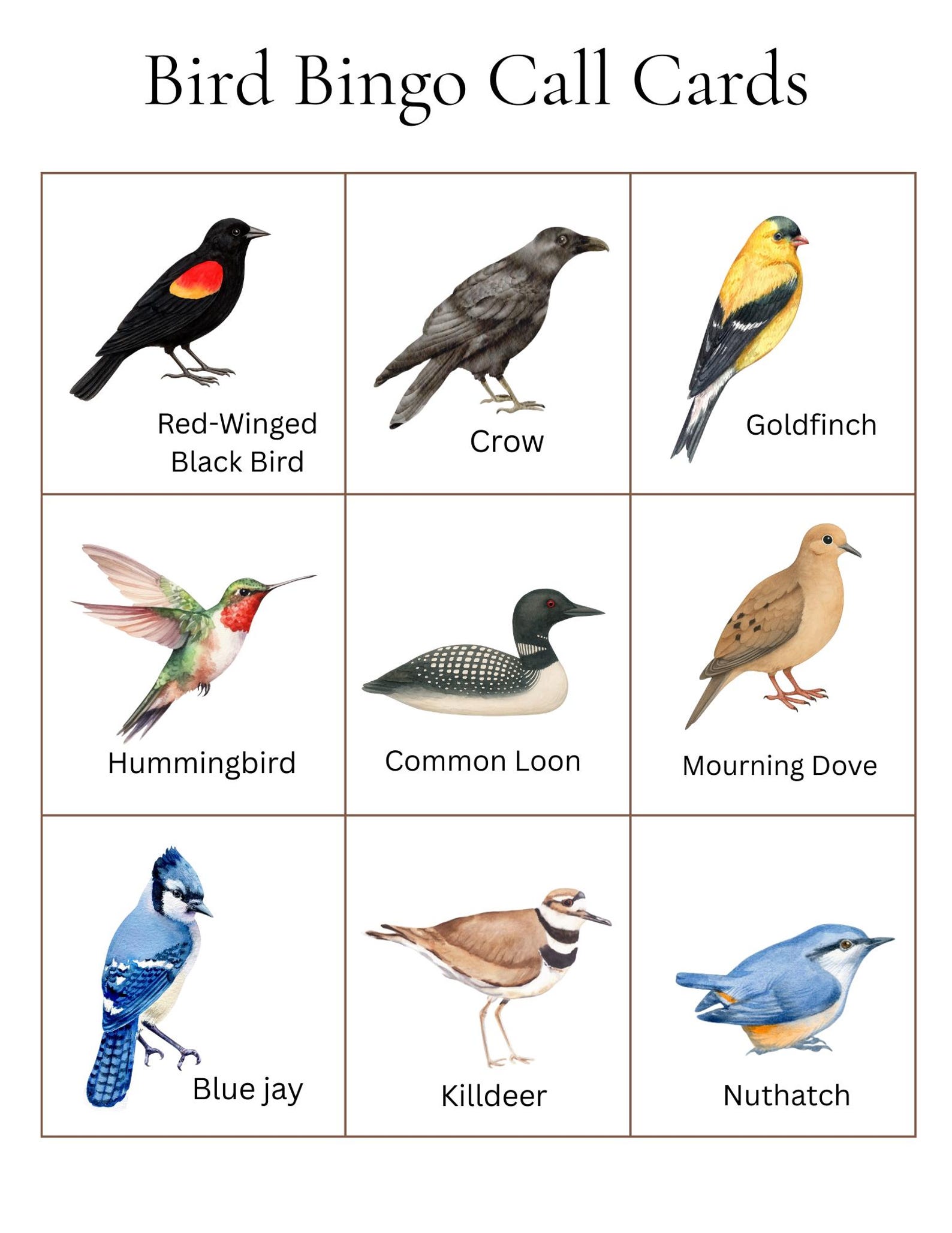 Bird Bingo Game: North American Bird Activity (digital Download) - Etsy