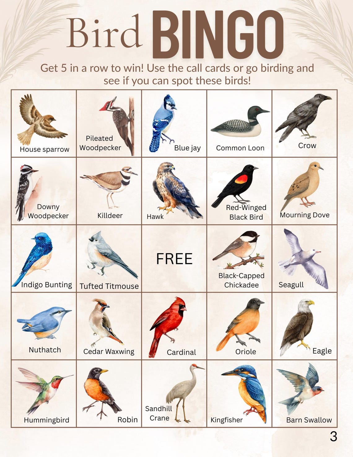 Bird Bingo Game: North American Bird Activity (digital Download) - Etsy