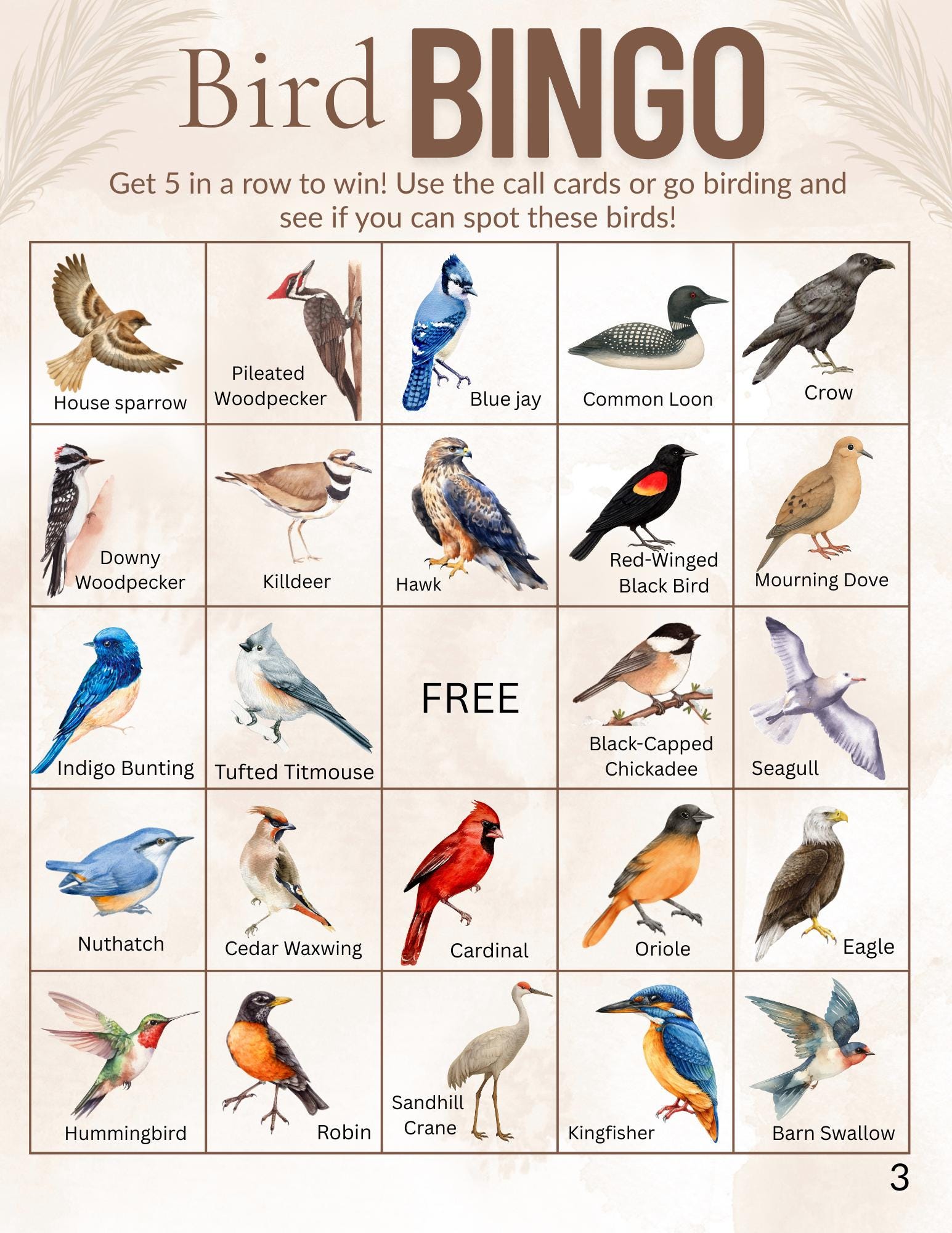 Bird Bingo Game: North American Bird Activity (digital Download) - Etsy