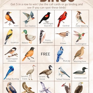 Bird Bingo Game: North American Bird Activity (digital Download) - Etsy