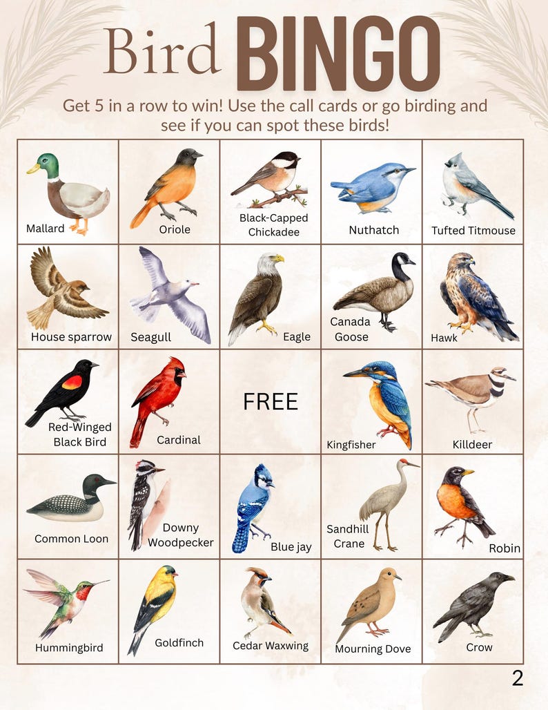 Bird Bingo Game: North American Bird Activity (digital Download) - Etsy