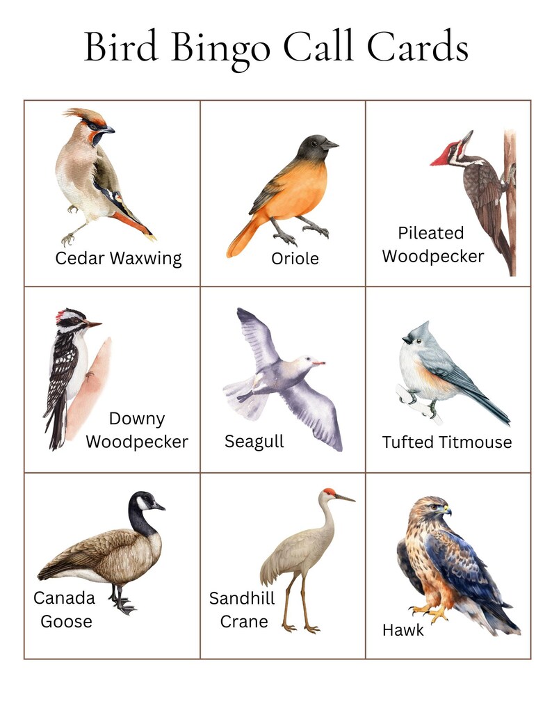 Toddler Activities: Bird Bingo Game, Watercolor North American Bird ...