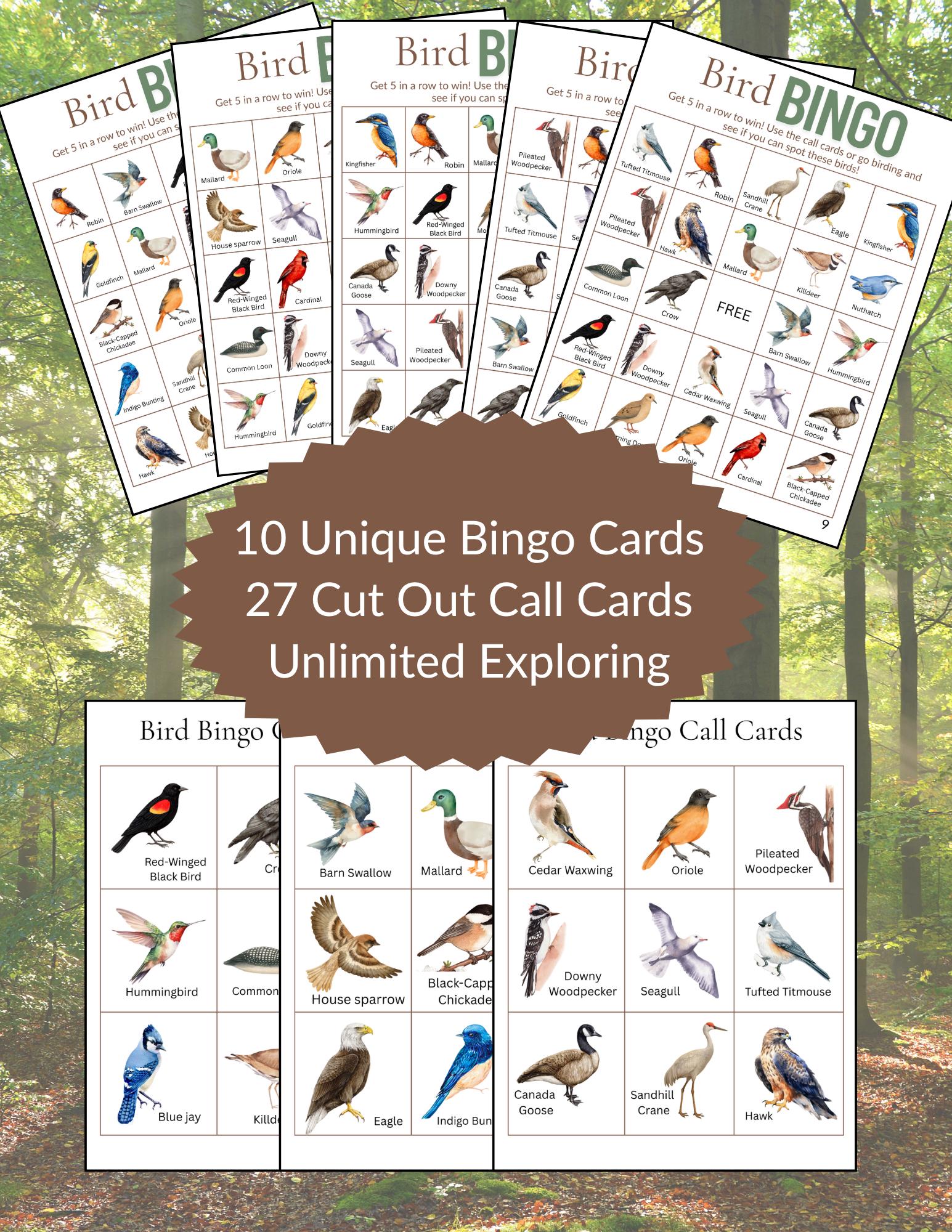 Toddler Activities: Bird Bingo Game, Watercolor North American Bird ...