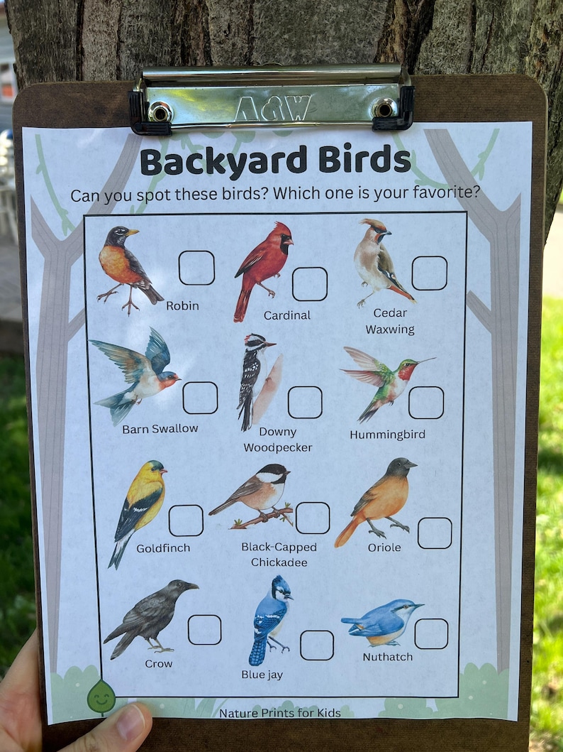 Bird Scavenger Hunt for Kid Printable Nature Activity Backyard Bird ...