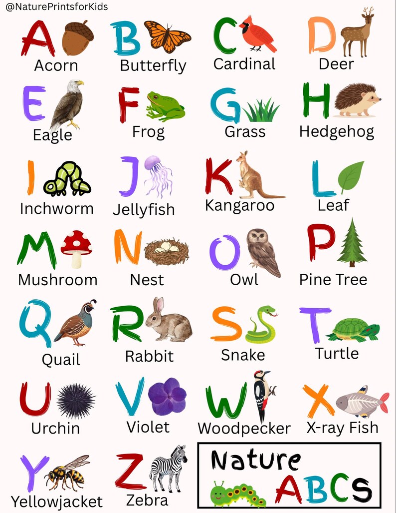 Nature Alphabet Printable for Kids | ABC Poster With Animals, Plants ...