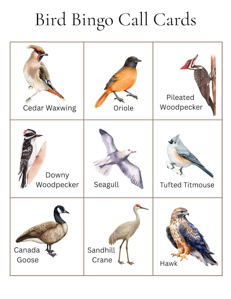 Bird Bingo Game: North American Bird Activity (digital Download) - Etsy