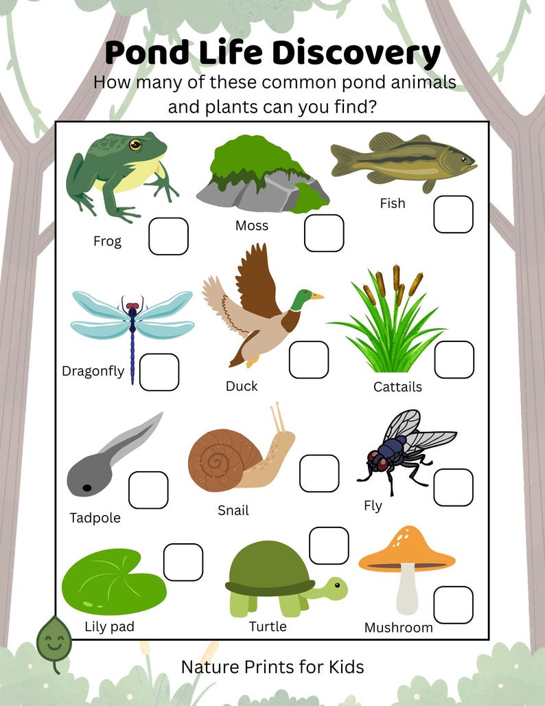 Scavenger Hunt for Kids Pond Animal and Plant Life Summer Camping ...
