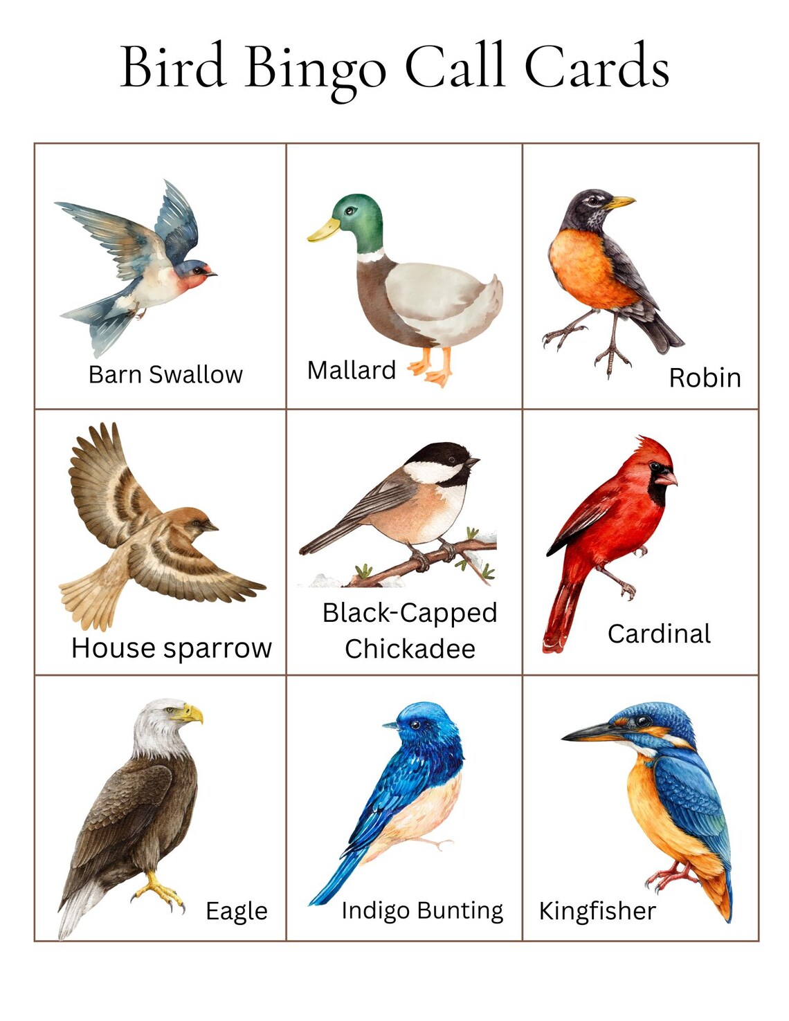 Bird Bingo Game: North American Bird Activity (digital Download) - Etsy