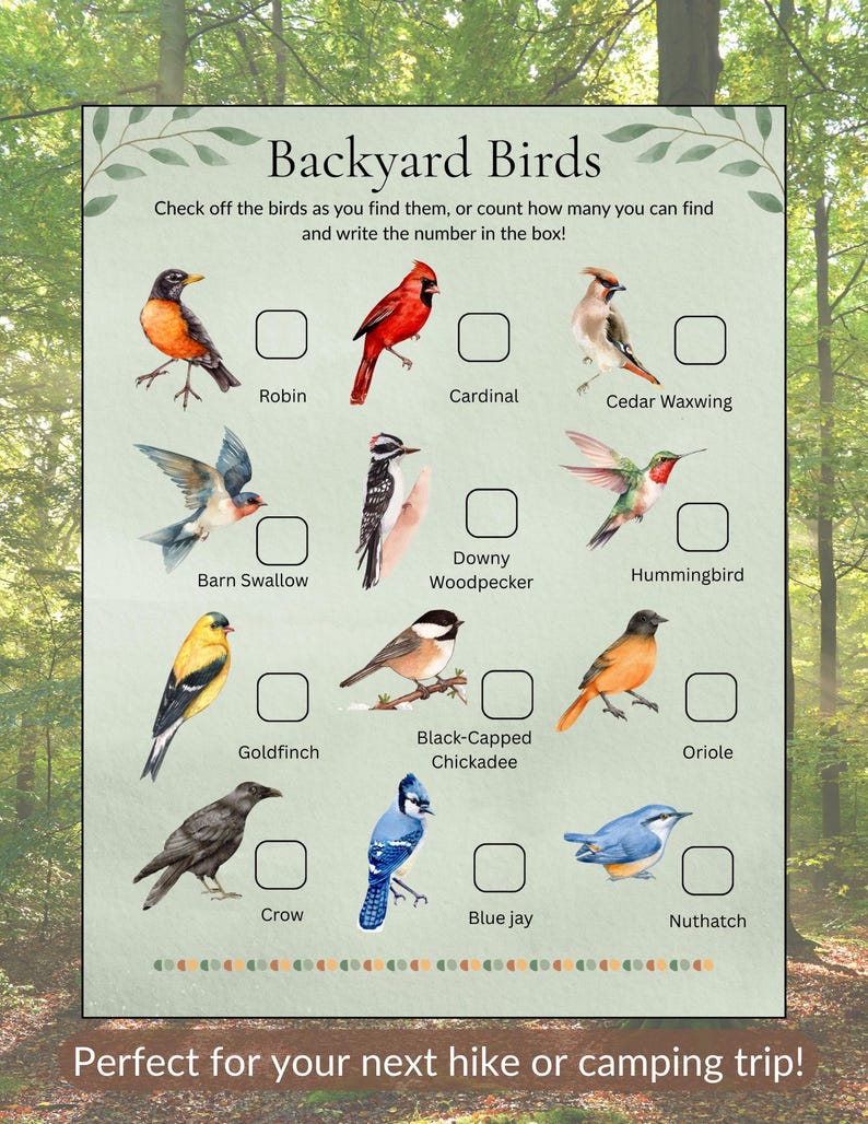 Bird Scavenger Hunt for Kids, Backyard Nature Activity Checklist ...