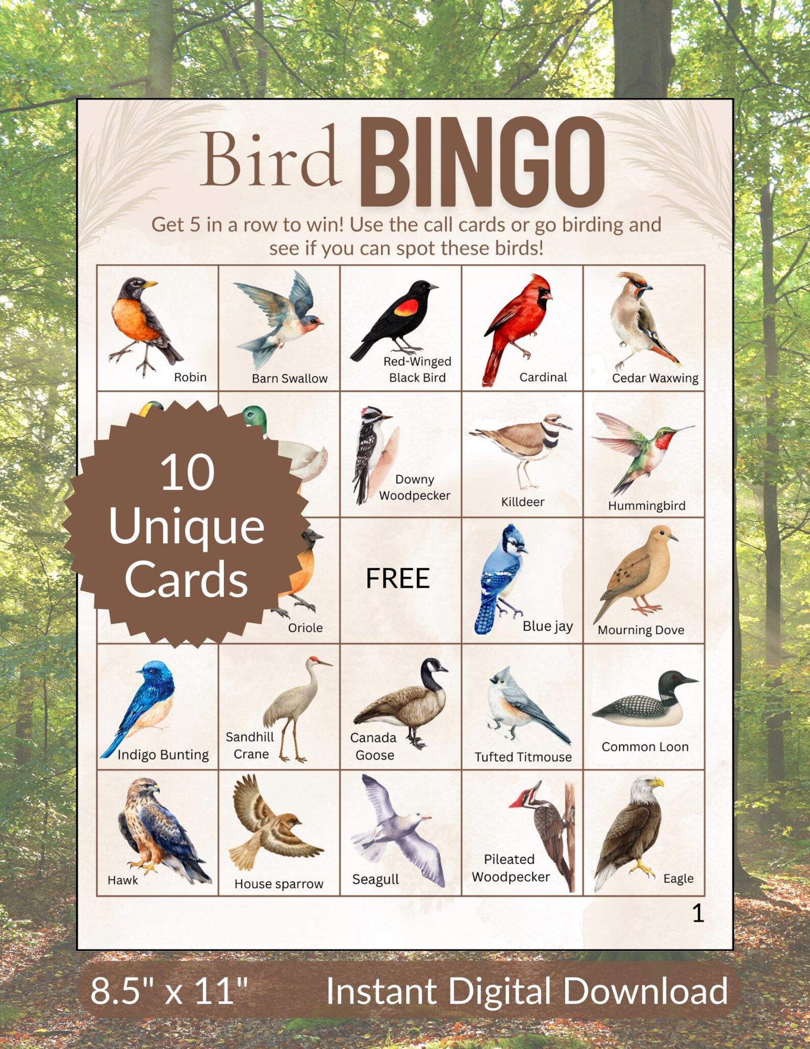 Bird Bingo Game: North American Bird Activity (digital Download) - Etsy