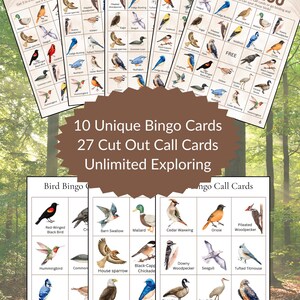 Bird Bingo Game: North American Bird Activity (digital Download) - Etsy