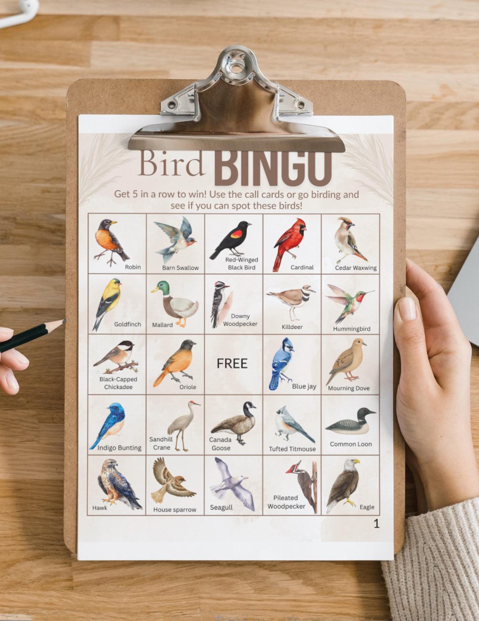 Bird Bingo Game: North American Bird Activity (digital Download) - Etsy