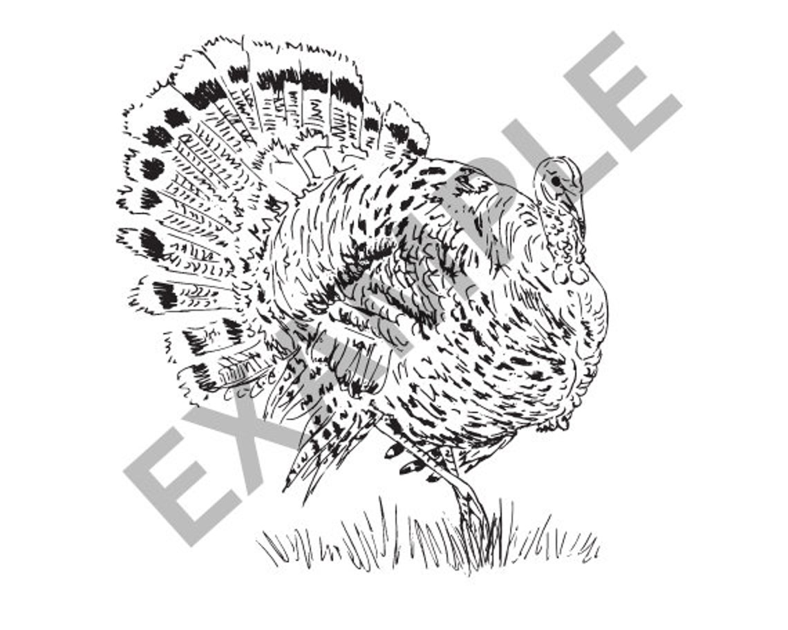 Printable Thanksgiving Coloring Pages, Fall Coloring Pages, Activity ...