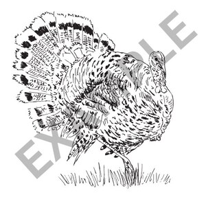 Printable Thanksgiving Coloring Pages, Fall Coloring Pages, Activity ...