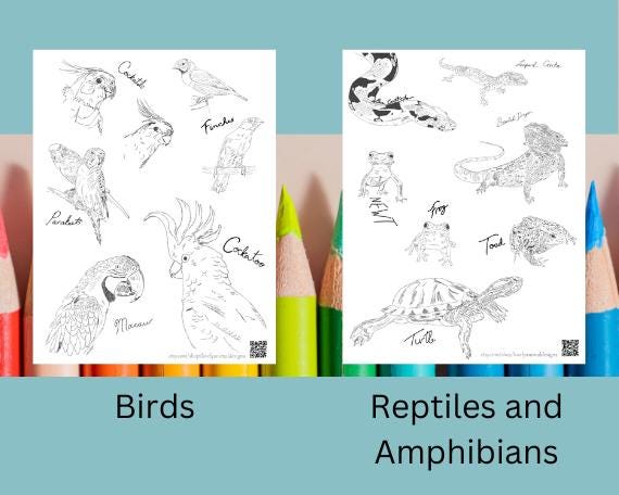 Pet Coloring Pages - Etsy