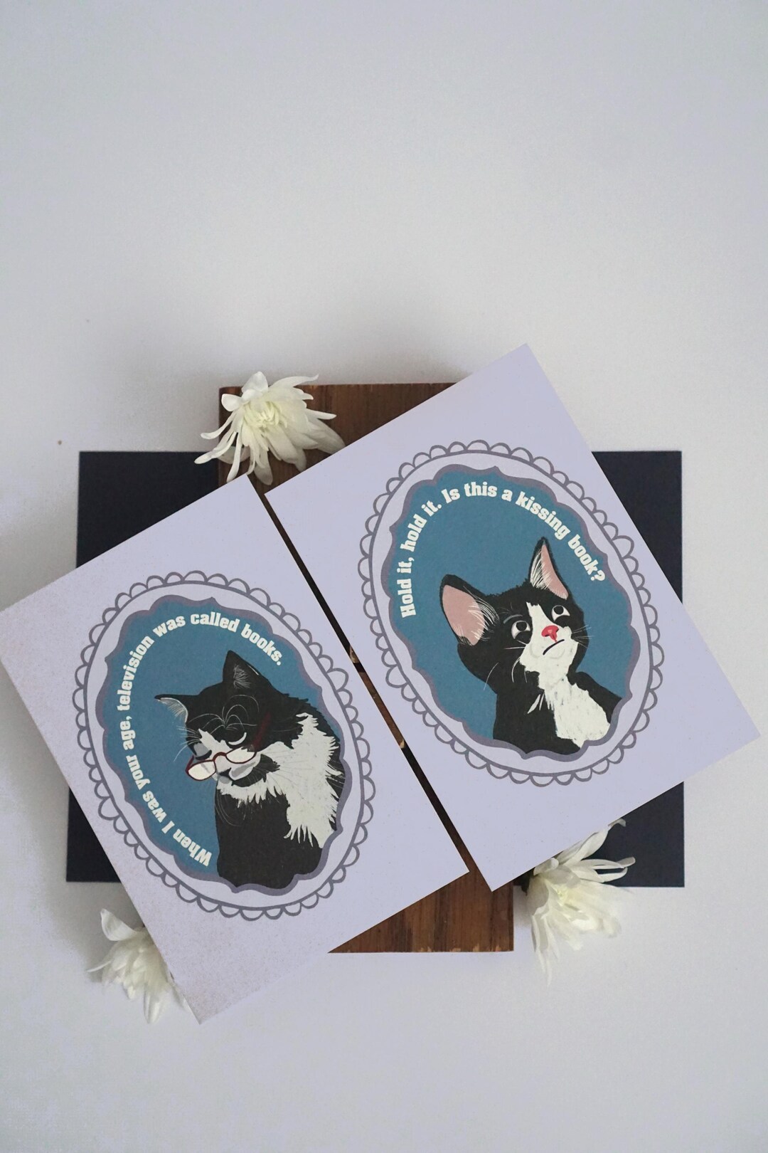 Purrincess Bride Cat Postcard Set, Princess Bride Pun - Etsy
