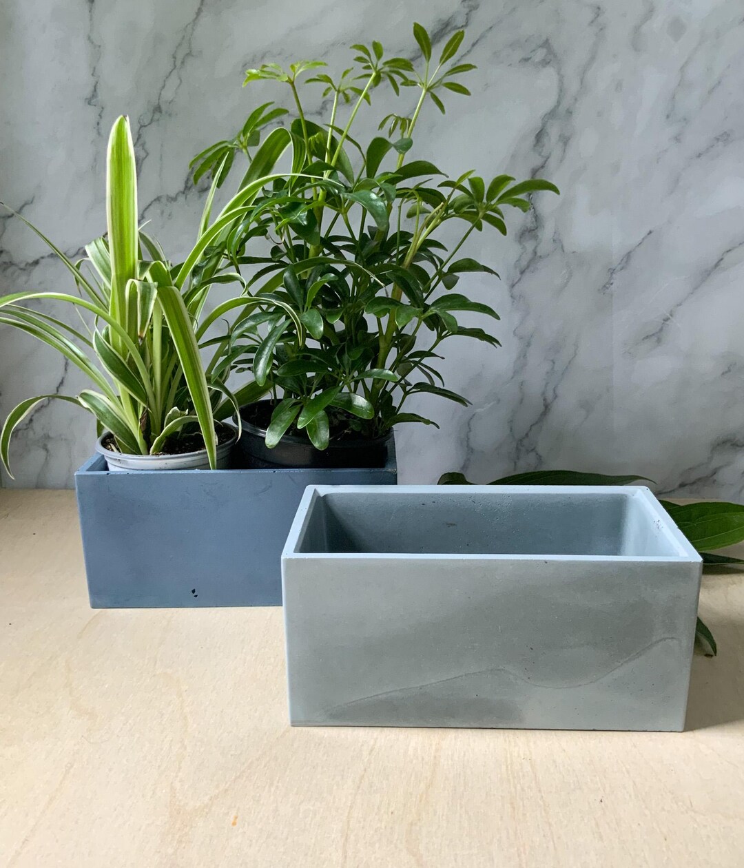 Modern Concrete Planter: Indoor/outdoor Pot With Drainage for Cacti ...