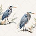 11 Stunning Great Blue Heron Clipart Set | Bird Illustration | Colorful ...