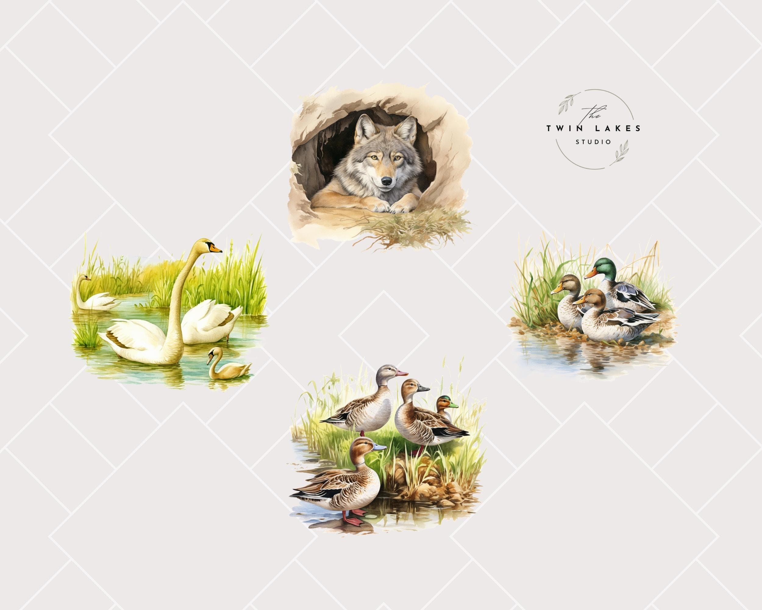 Wildlife Animals Clipart Set | Animals in Nature | Woodland Animals ... Wildlife Animals Clipart Set | Animals in Nature | Woodland Animals ...