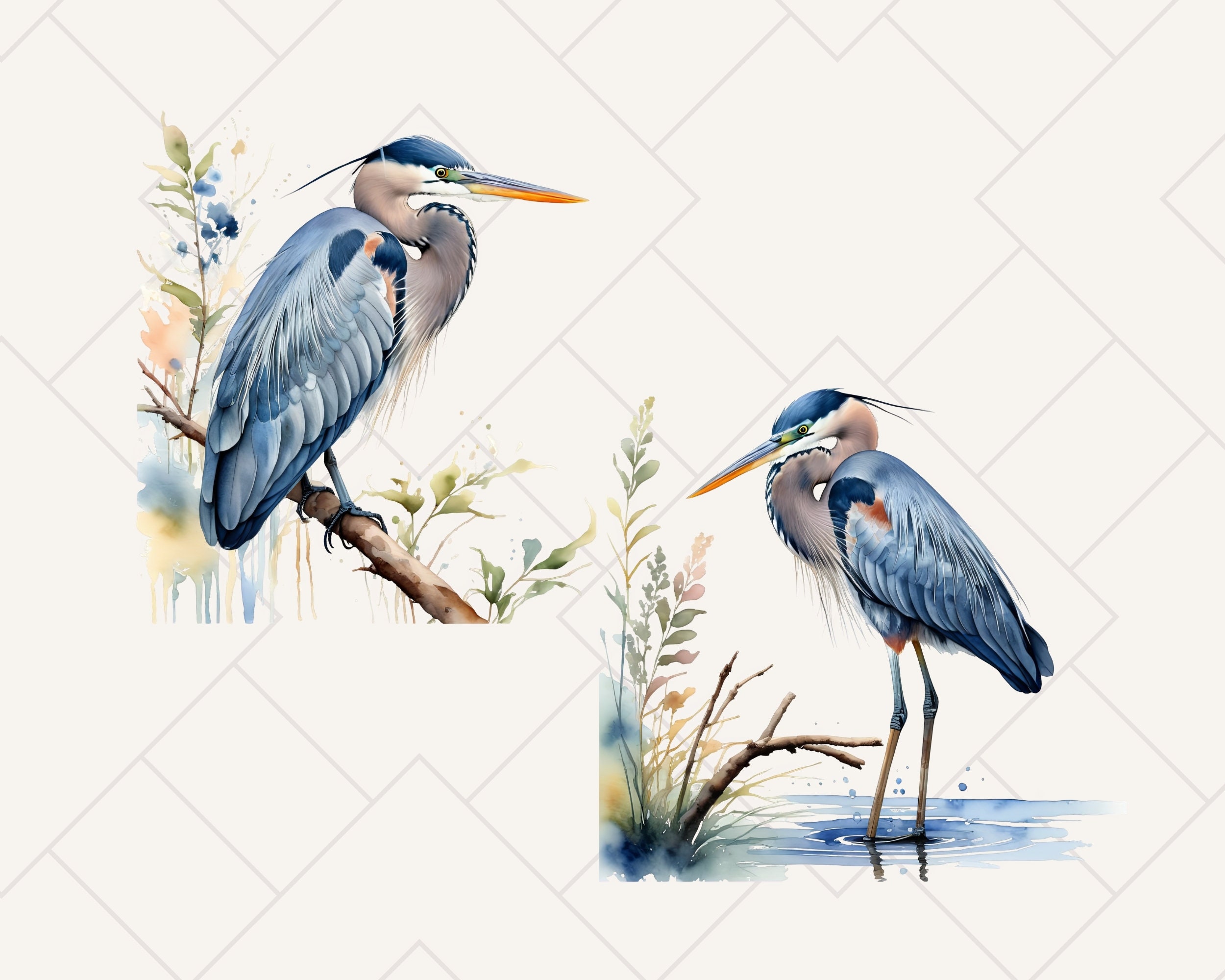 11 Stunning Great Blue Heron Clipart Set Bird Illustration Colorful ...