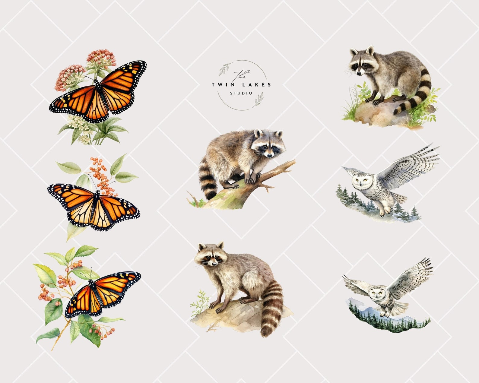 Wildlife Animals Clipart Set | Animals in Nature | Woodland Animals ...