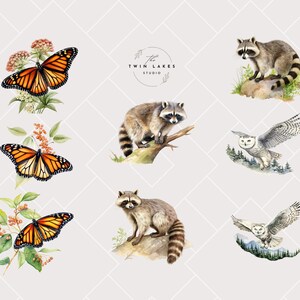 Animals in Nature, Wild Life, Clip Art, Digital Download, Commercial ...