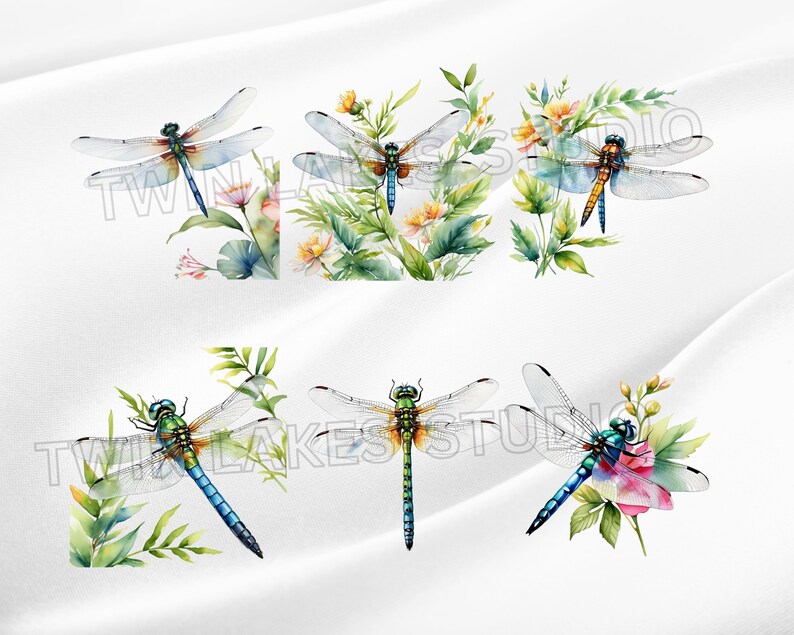 Whimsical Dragonfly Clipart | Dragonflies | Nature-inspired Dragonflies ...