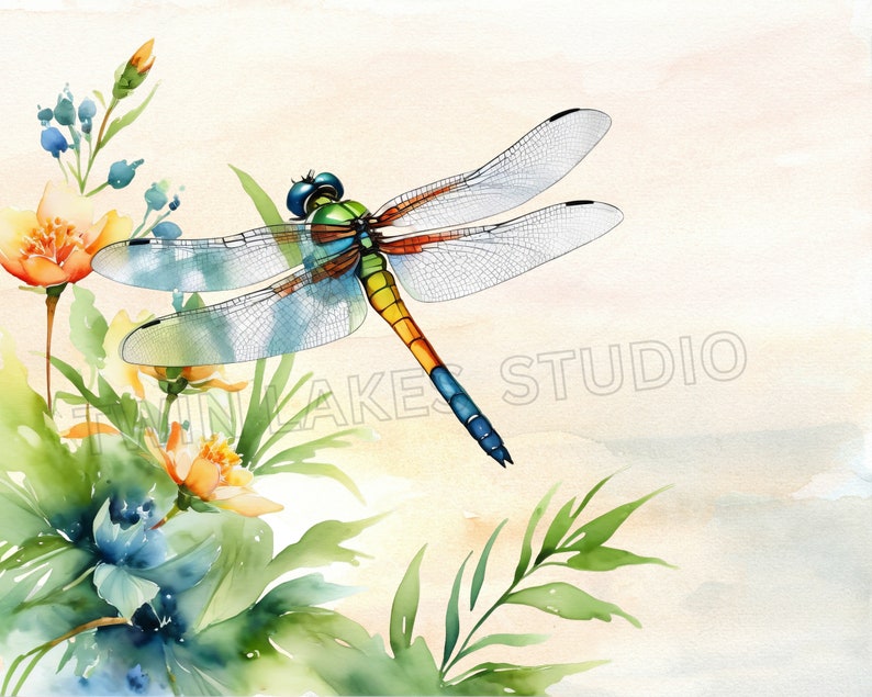 Whimsical Dragonfly Clipart | Dragonflies | Nature-inspired Dragonflies ...