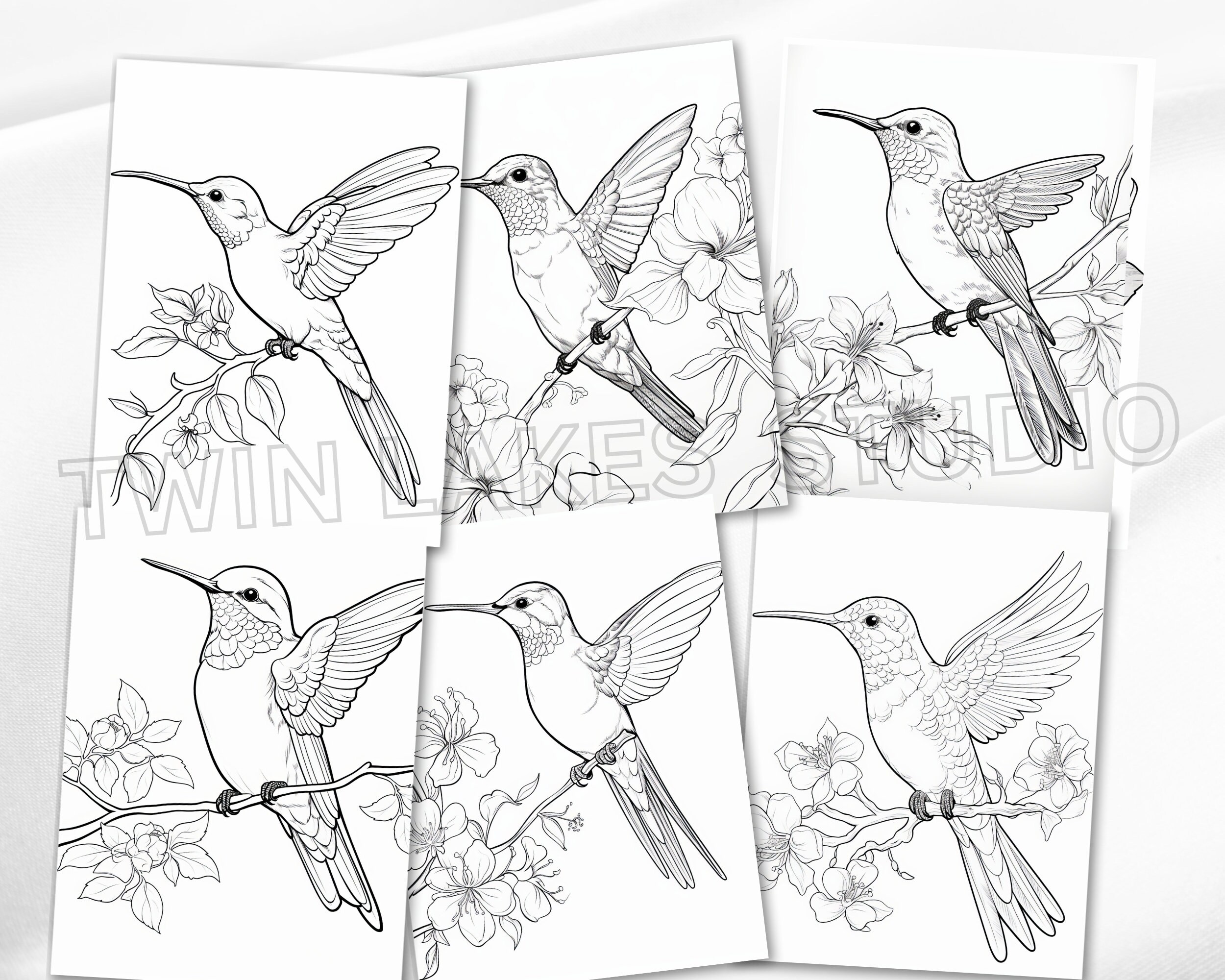 Hummingbird Coloring Book Pages With Flowers for Adults and Seniors ...