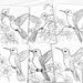 Hummingbird Coloring Book Pages With Flowers for Adults and Seniors ...