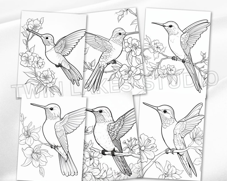 Hummingbird Coloring Book Pages With Flowers for Adults and Seniors ...