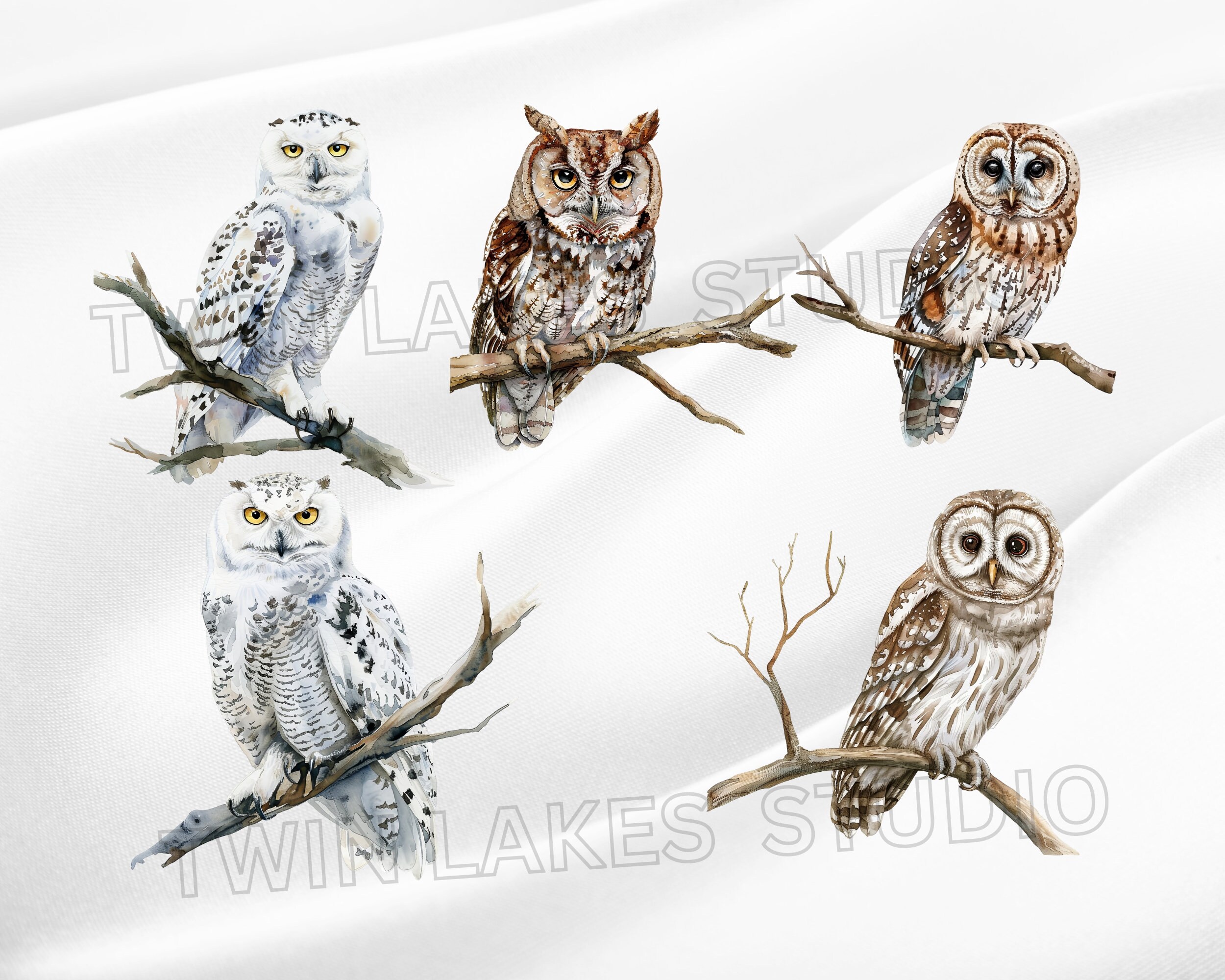 Watercolor Owls | Clipart | Digital Download | Commercial Use - Etsy