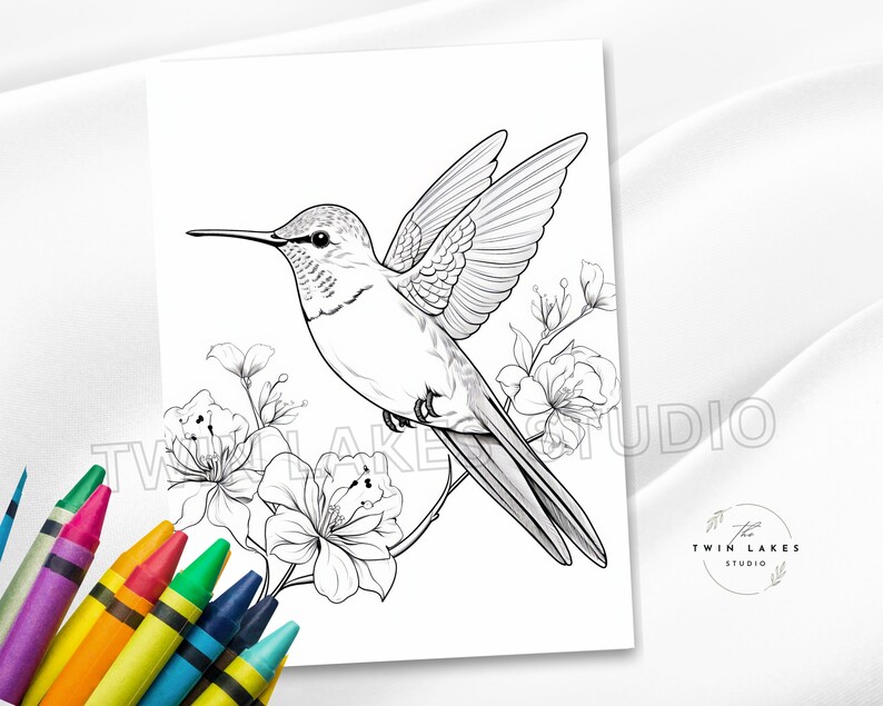 Hummingbird Coloring Book Pages With Flowers for Adults and Seniors ...