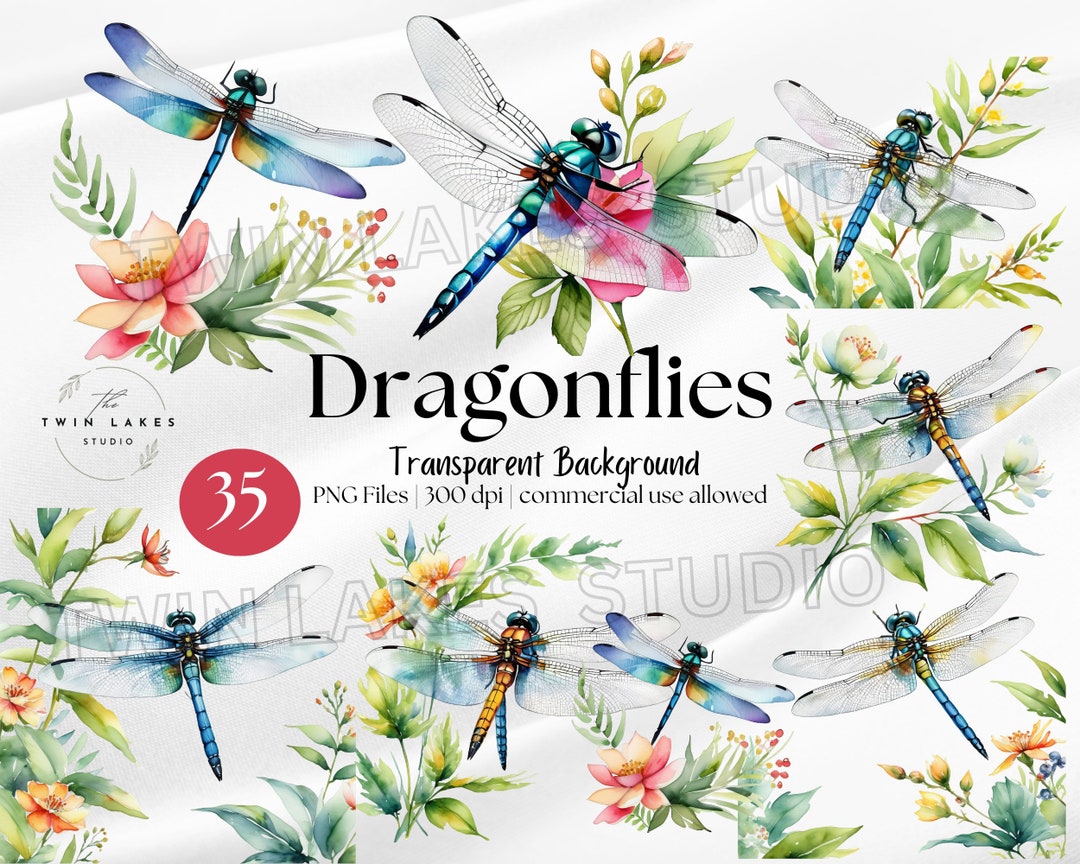 Whimsical Dragonfly Clipart | Dragonflies | Nature-inspired Dragonflies ...
