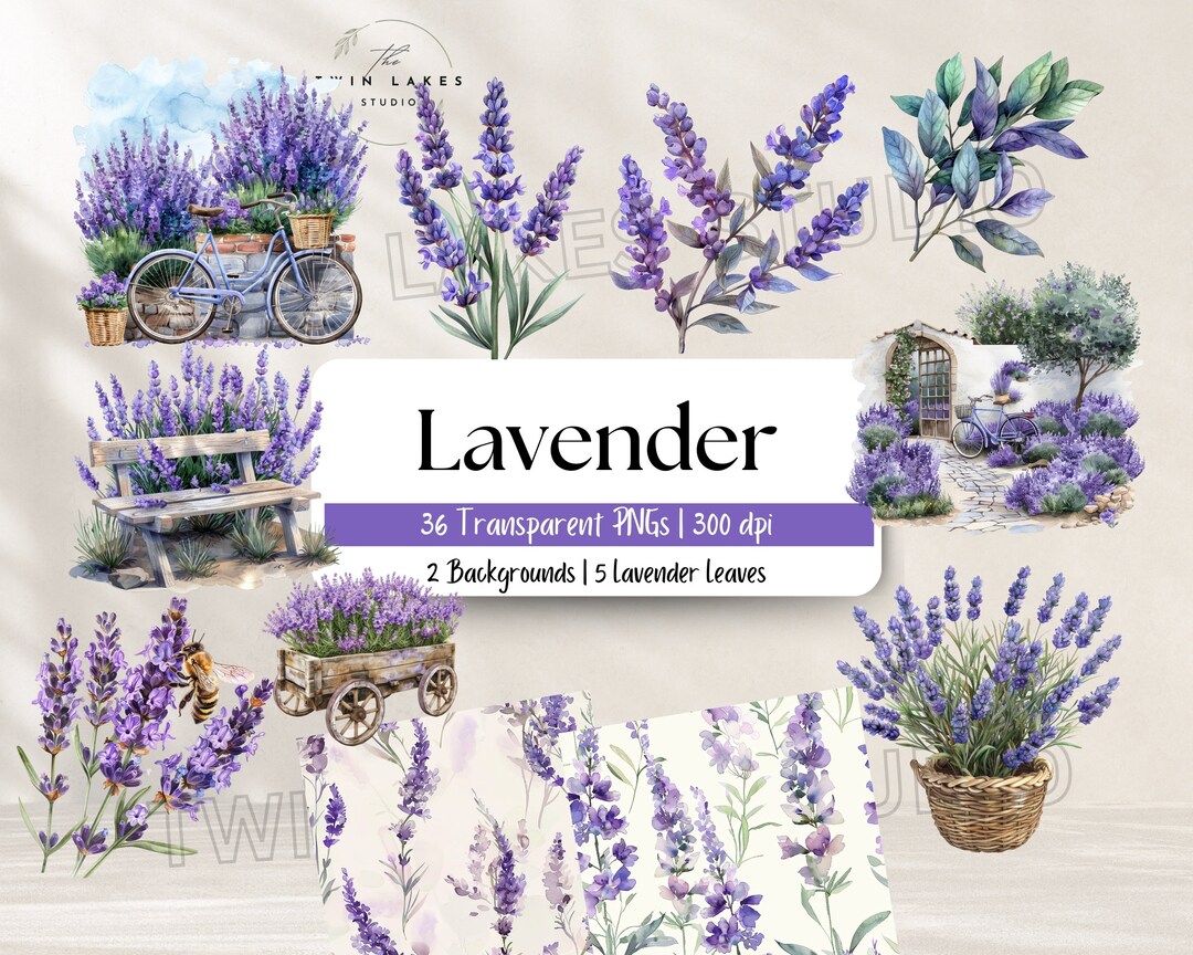 Lavender Flower Clipart Collection | Floral Design Elements With ...