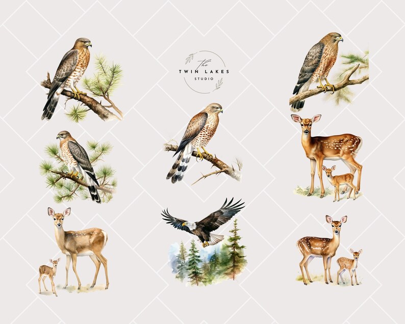 Wildlife Animals Clipart Set | Animals in Nature | Woodland Animals ...