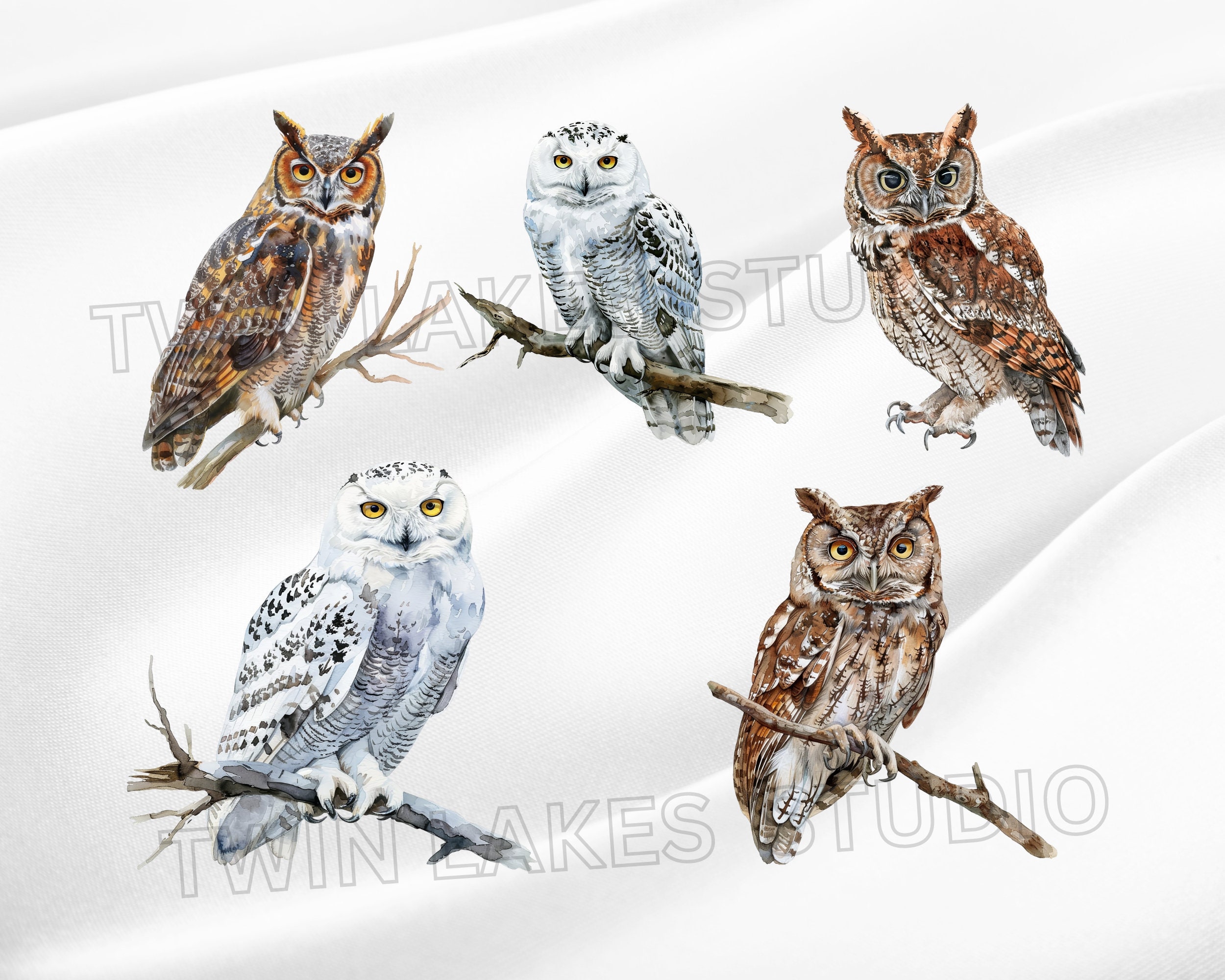 Watercolor Owls | Clipart | Digital Download | Commercial Use - Etsy