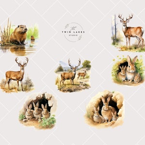 Animals in Nature, Wild Life, Clip Art, Digital Download, Commercial ...