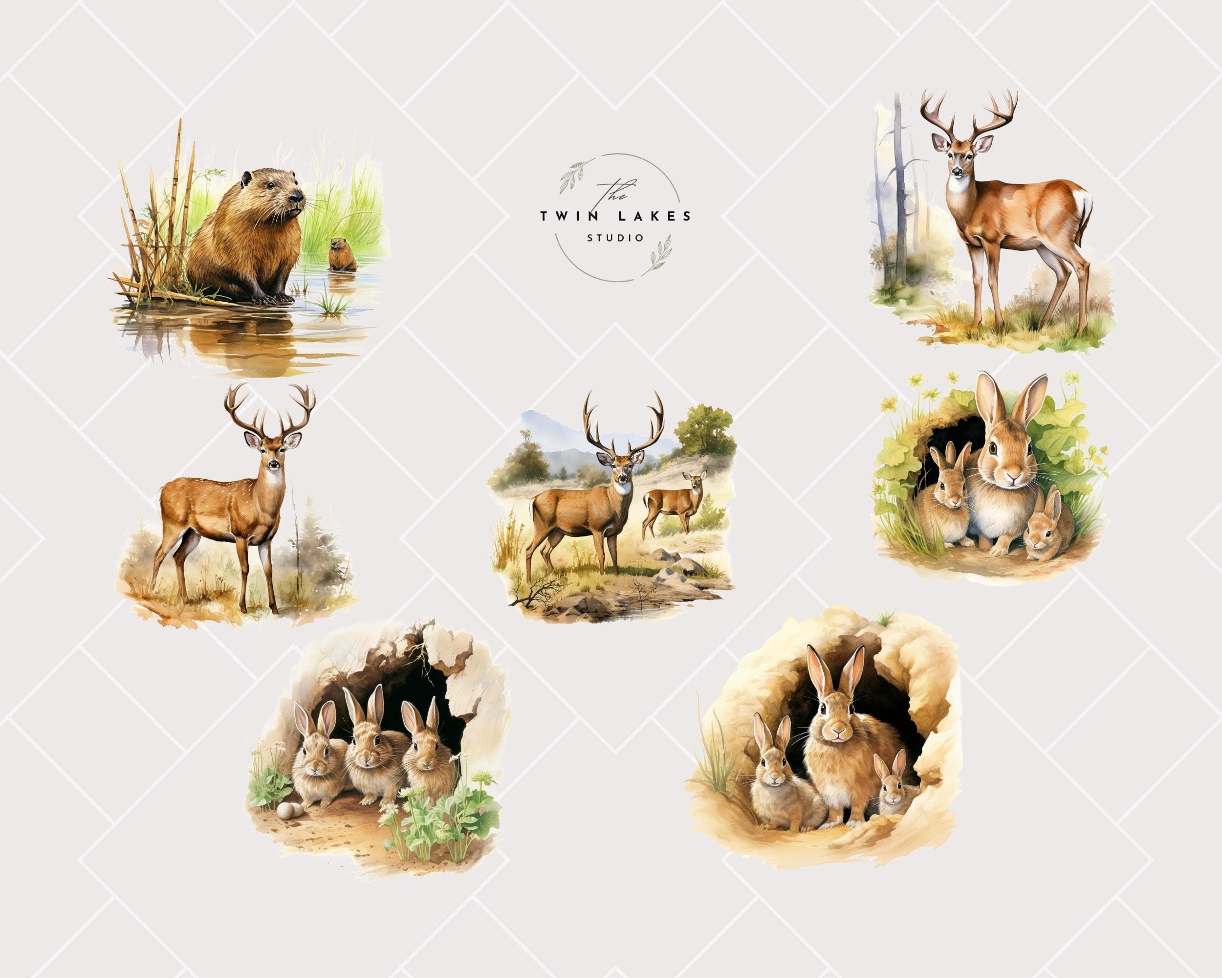 Wildlife Animals Clipart Set | Animals in Nature | Woodland Animals ... Wildlife Animals Clipart Set | Animals in Nature | Woodland Animals ...