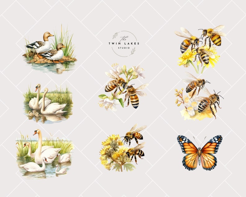 Wildlife Animals Clipart Set | Animals in Nature | Woodland Animals ...