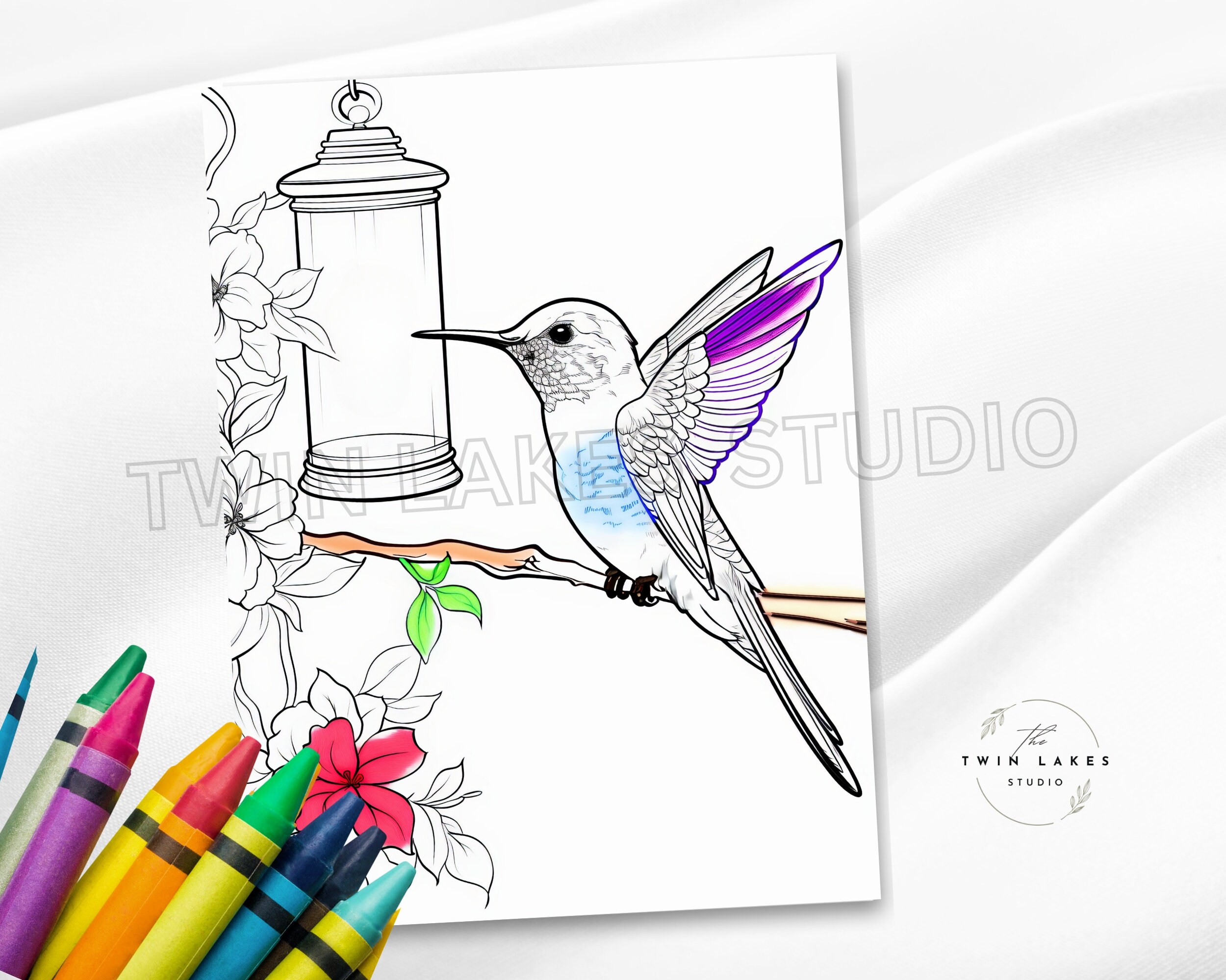 Hummingbird Coloring Book Pages With Flowers for Adults and Seniors ...