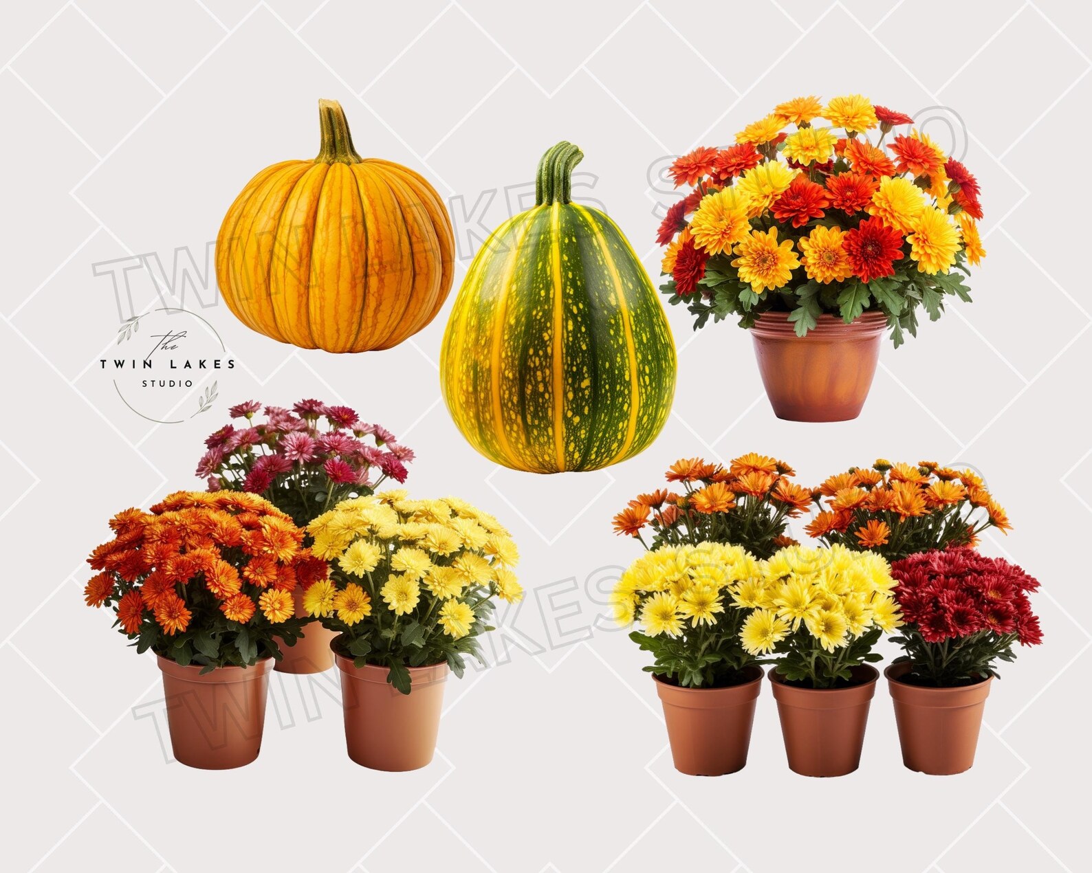 Fall Mums Clipart, Gourds, Thanksgiving Flowers, Commercial Use, Digital Download - Etsy