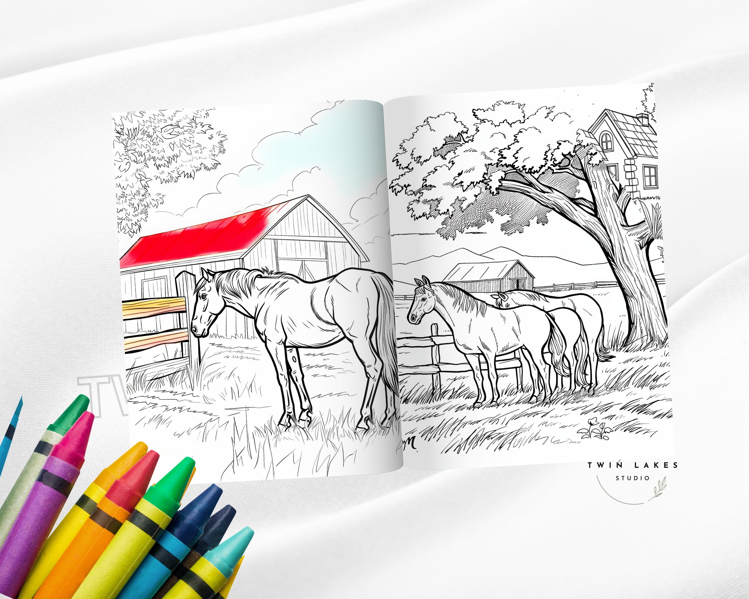 Horses Coloring Book for Adults | Coloring Book of Horses on the Farm ...
