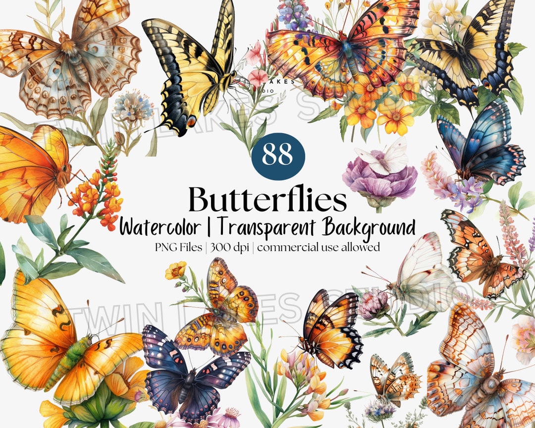Watercolor Butterflies - Monarch Butterfly - Spring Butterflies ...