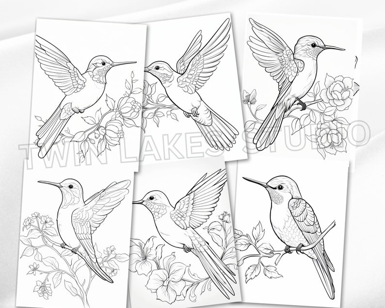 Hummingbird Coloring Book Pages With Flowers for Adults and Seniors ...