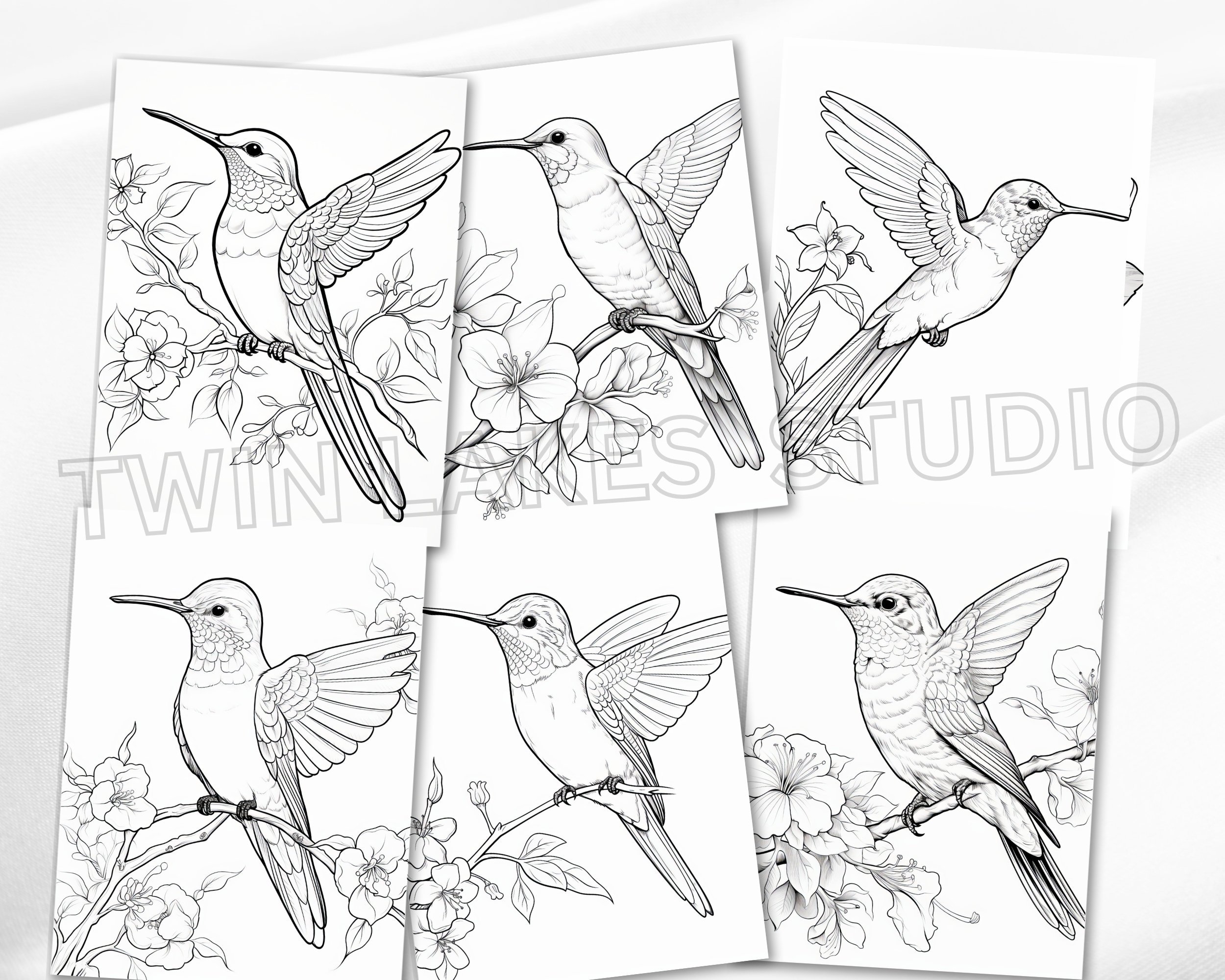 Hummingbird Coloring Book Pages With Flowers for Adults and Seniors ...