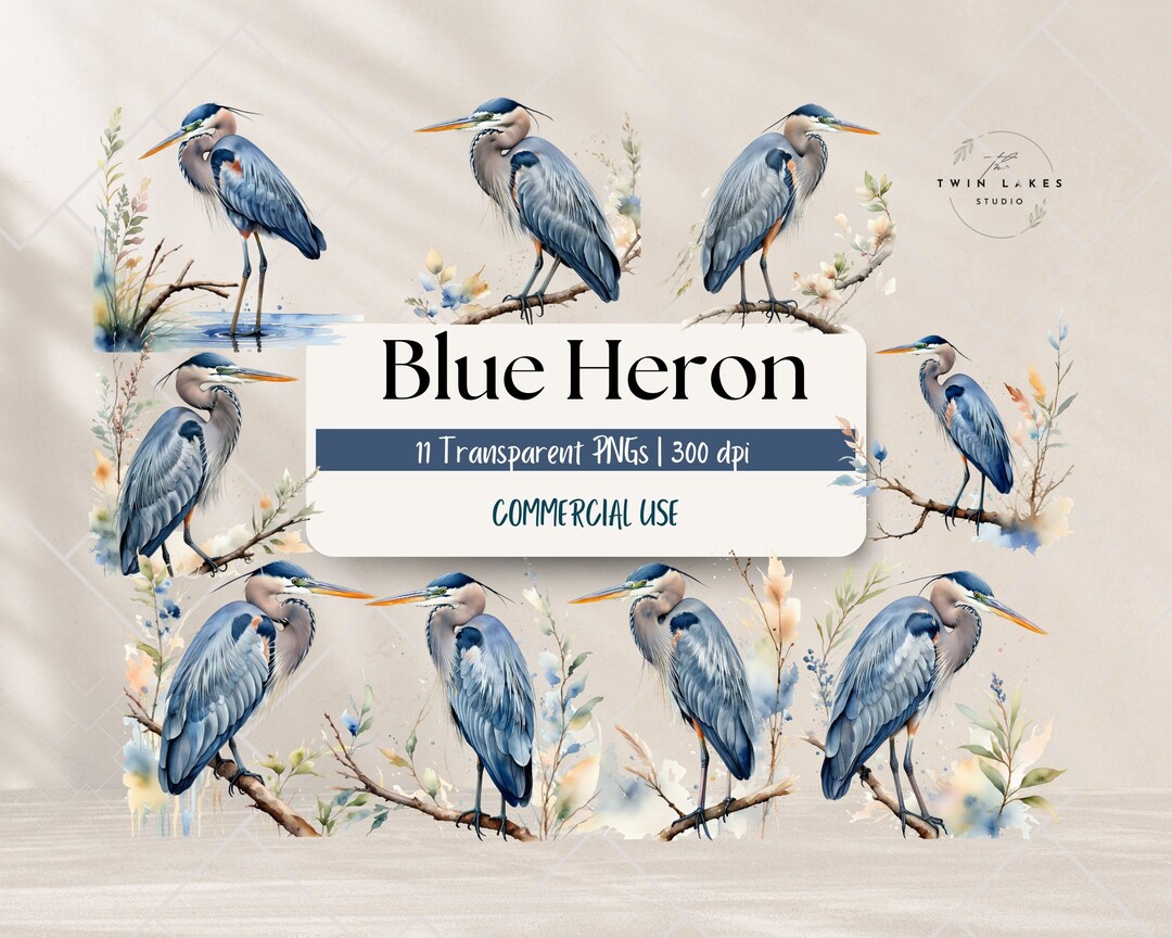 11 Stunning Great Blue Heron Clipart Set | Bird Illustration | Colorful ...