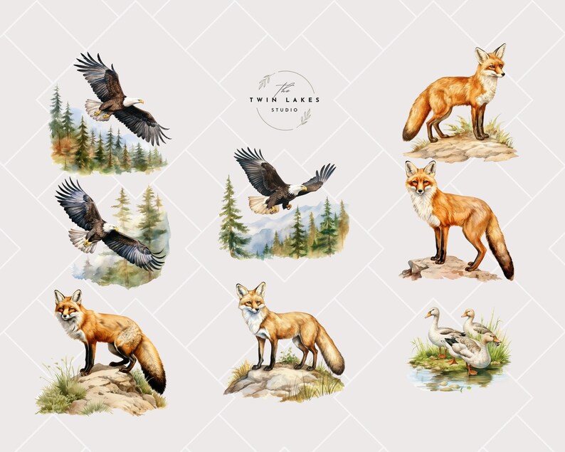 Wildlife Animals Clipart Set | Animals in Nature | Woodland Animals ...